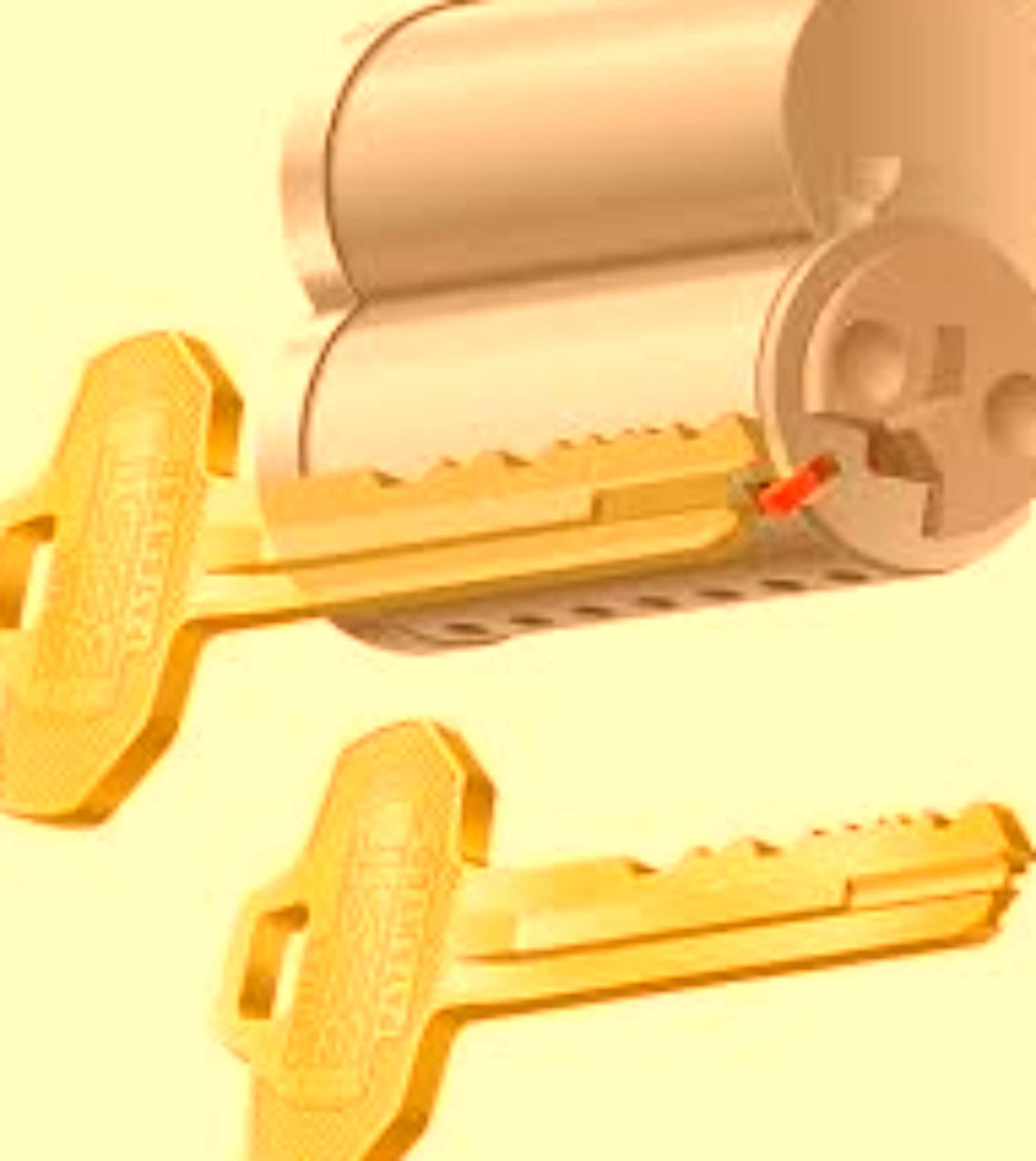 Affordable Security Locks in Tampa - Florida Lock Doctor